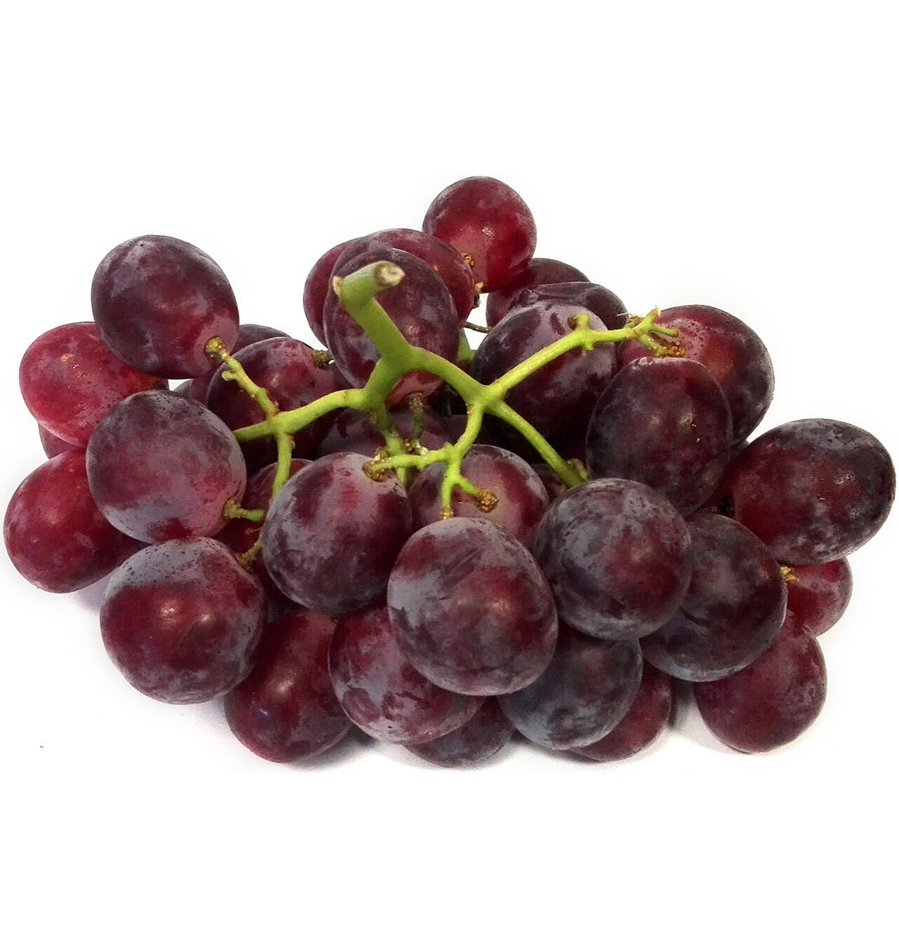 Comprar RAÏM NEGRE 600G APROX. | RAÏM NEGRE 600G APROX. a Condisline