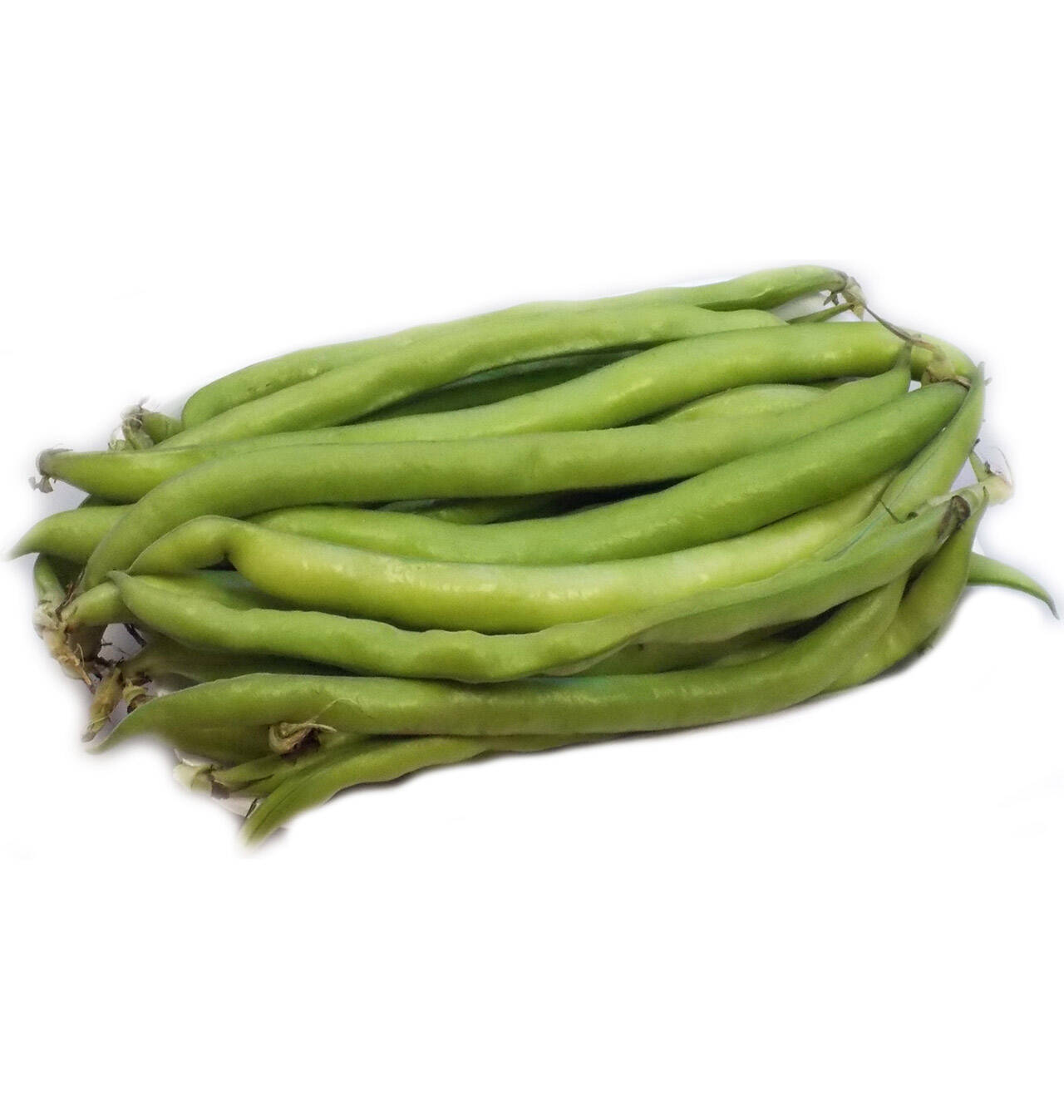 Comprar HABAS 700G APROX. | HABAS 700G APROX. en Condisline