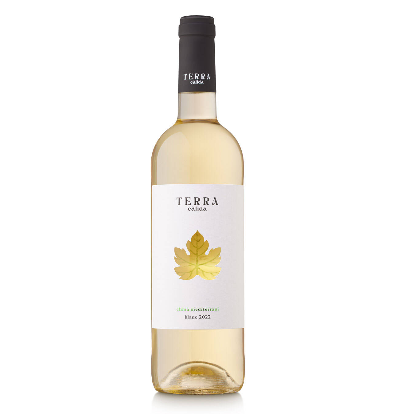 Comprar VINO TERRA CALIDA BLANCO 75 CL | Vinos blancos en Condisline