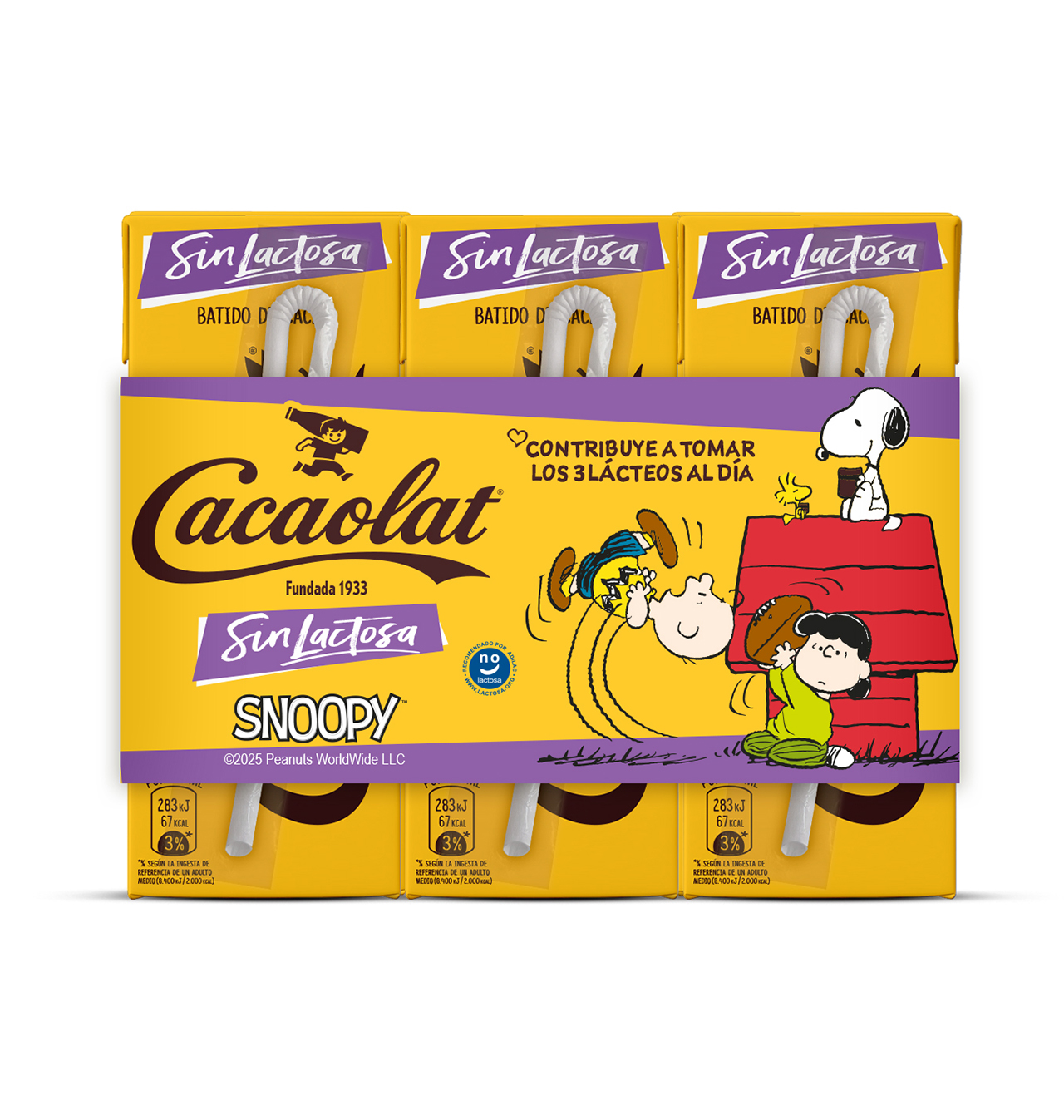 Comprar BATIDO MINI CACAOLAT SIN LACTOSA BRICK 6 UNIDADES | Bebida ...